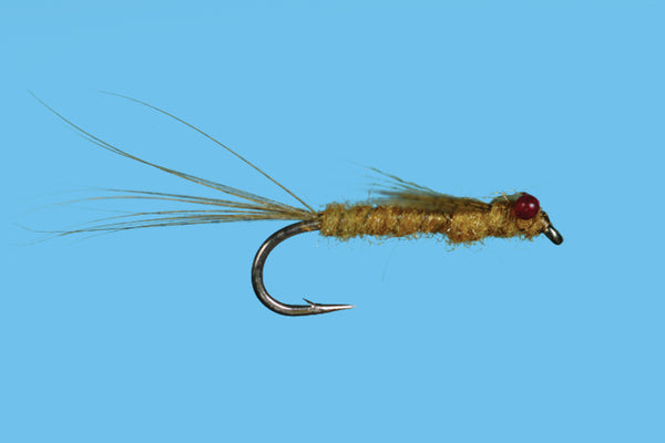 Solitude Damsel Nymph Red Eye | Miyar Adventures
